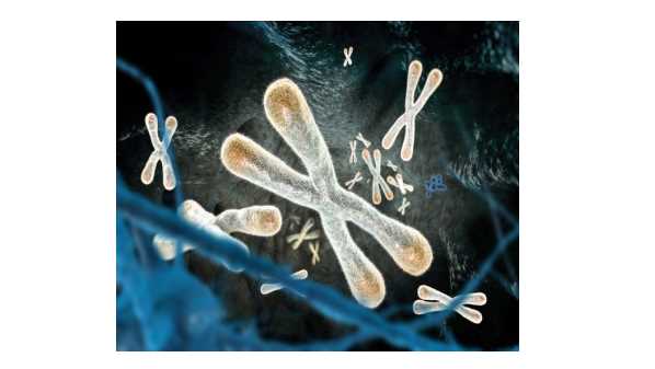 Cancer Epigenetics - Creative Diagnostics