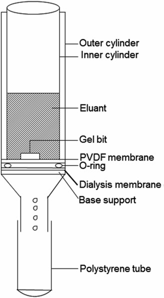 Centrifuge Blotting Protocol - Creative Diagnostics