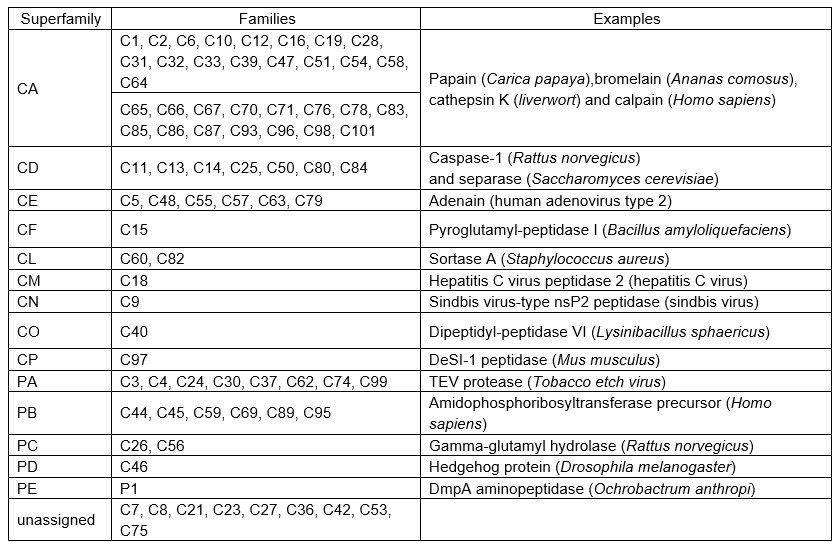 Cysteine Proteases and Regulators - Creative Diagnostics