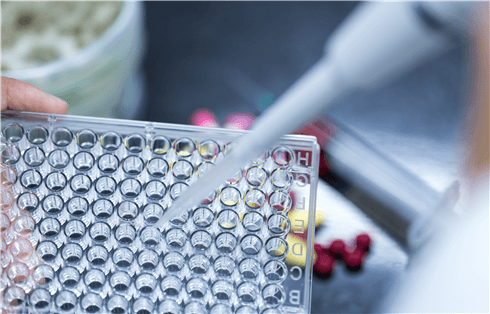 Elisa Experiment Protocol - Creative Diagnostics