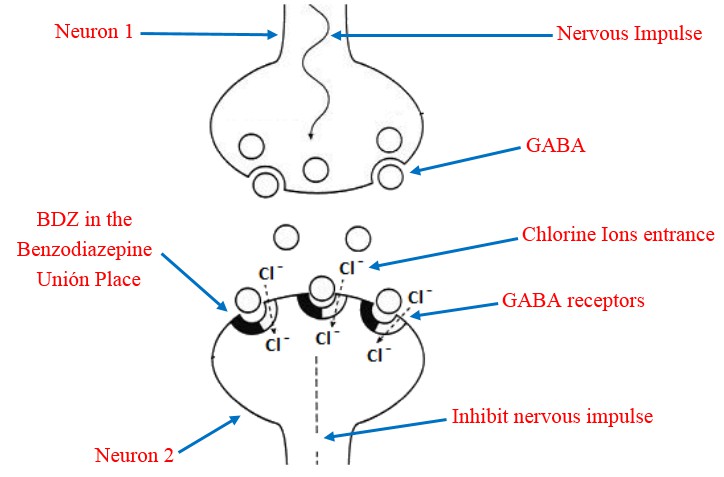 Drugs of Abuse - Creative Diagnostics