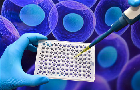 Guides - Creative Diagnostics