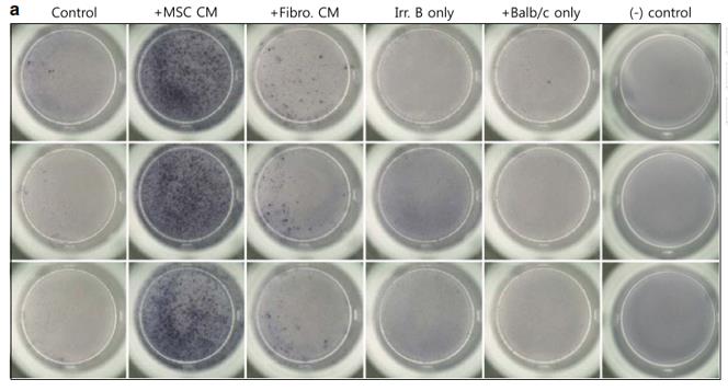 ELISPOT Study the Stem Cells on Cytokine Secretion Protocol - Creative Diagnostics