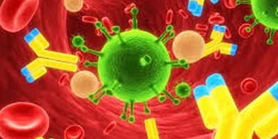Secondary Antibodies - Creative Diagnostics