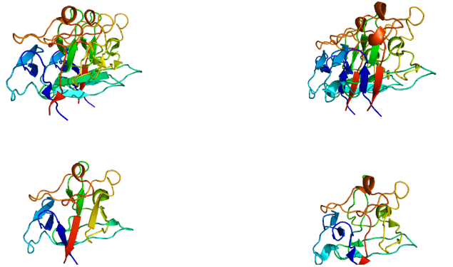 FGF Family - Creative Diagnostics