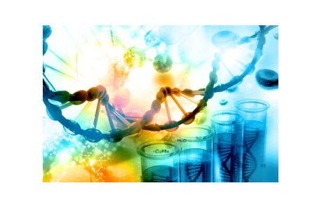 Genotoxic Stress Response - Creative Diagnostics