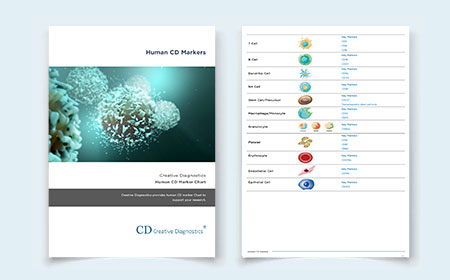 Brochures - Creative Diagnostics