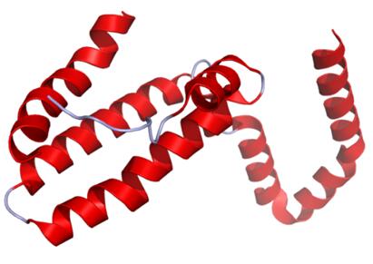 IL-10 Family - Creative Diagnostics