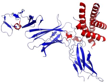 IL-12 Family - Creative Diagnostics