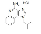 Imiquimod Adjuvants - Creative Diagnostics