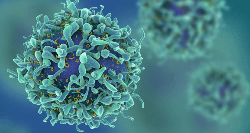 Immunocyte Markers - Creative Diagnostics