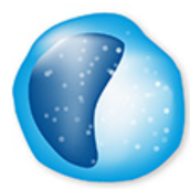 Immunocyte Markers - Creative Diagnostics