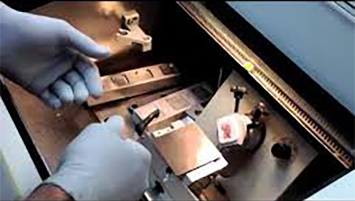 Protein Experiment Protocol - Creative Diagnostics