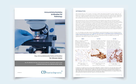 IHC/Pathology Antibodies - Creative Diagnostics