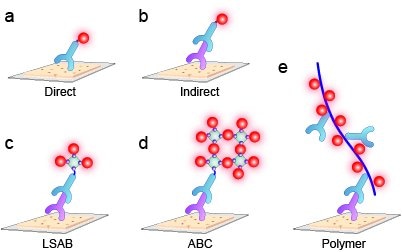 Immunohistochemistry Guide - Creative Diagnostics