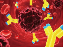 Immunology ELISA Kits - Creative Diagnostics