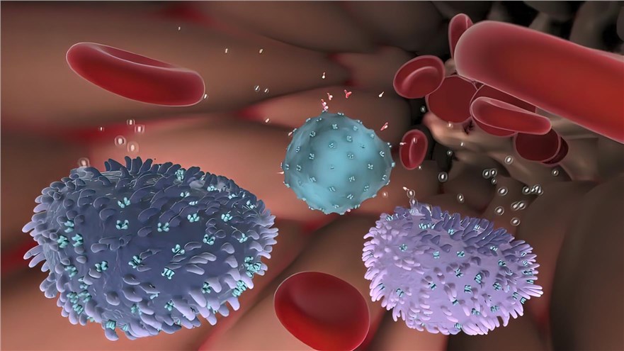 In Vitro Antibody Activity Test Service - Creative Diagnostics