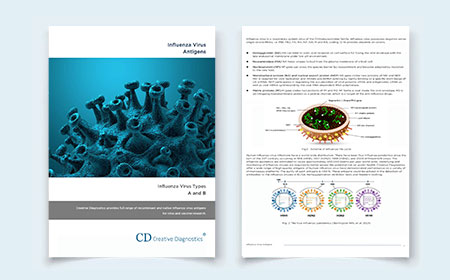 Virology, - Creative Diagnostics