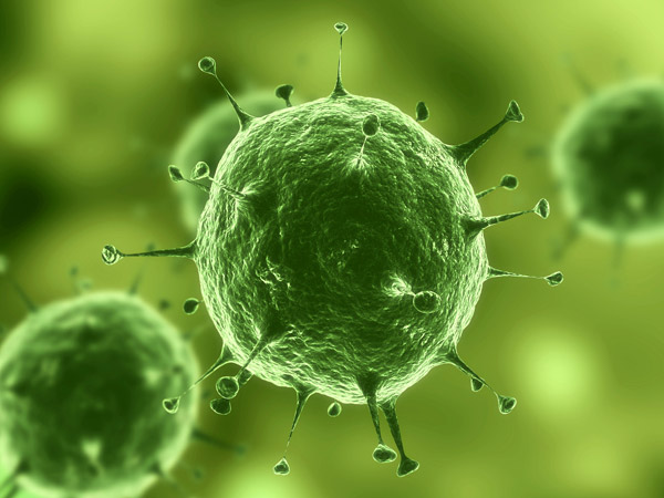 Immunology Topics - Creative Diagnostics