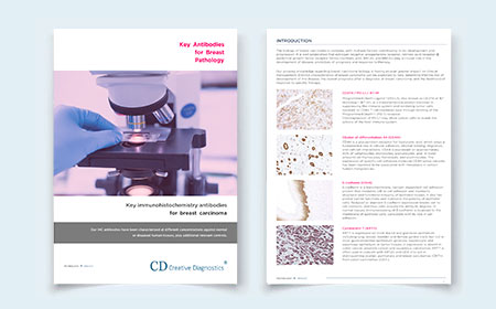 IHC/Pathology, - Creative Diagnostics