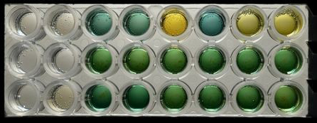 Microbiology Testing Kits - Creative Diagnostics