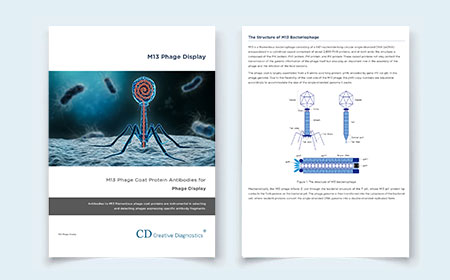 Brochures - Creative Diagnostics