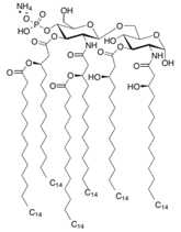 MPLA Synthetic Adjuvants - Creative Diagnostics