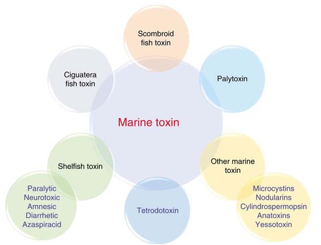 Marine Biotoxins - Creative Diagnostics