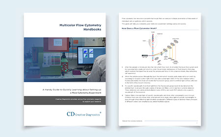 Discover More, - Creative Diagnostics