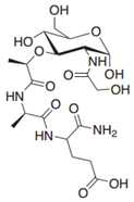 N-glycolyl-MDP Adjuvants - Creative Diagnostics