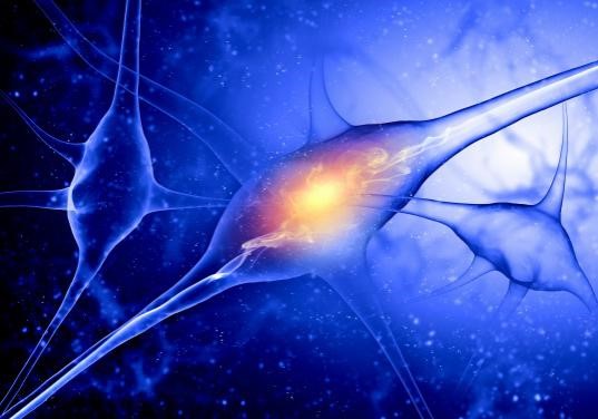 Neuroscience - Creative Diagnostics