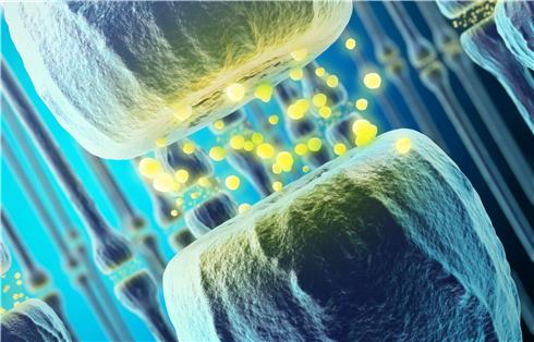 Neurotransmitters Receptors, Transporters, and Ion Channels - Creative ...