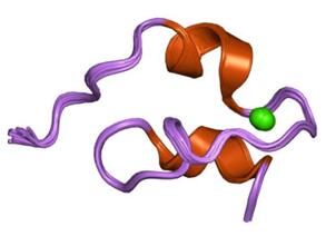 Notch Family - Creative Diagnostics