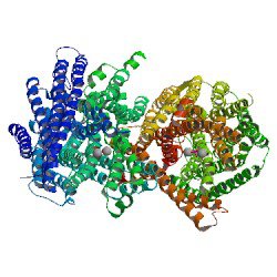 Proton Pump Immunology Reagents - Creative Diagnostics