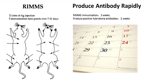 Repetitive Immunizations Multiple Sites (RIMMS) Services - Creative ...