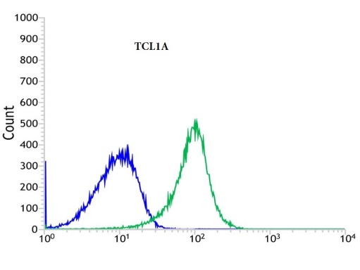 Recombinant Rabbit Monoclonal Antibodies - Creative Diagnostics