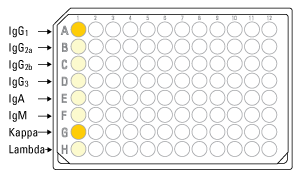 RapidGet™ ELISA Mouse Antibody Isotyping Kit - Creative Diagnostics