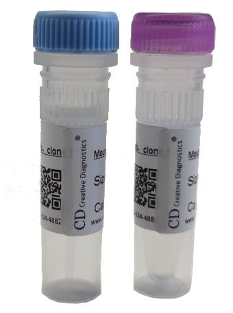 Small Molecule Antibodies - Creative Diagnostics