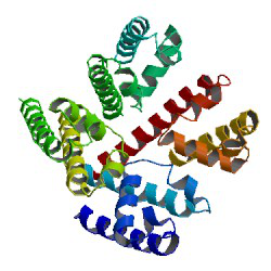Sodium Channel Immunology Reagents - Creative Diagnostics