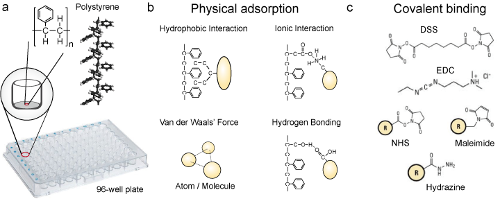 Practical Tips of ELISA - Creative Diagnostics