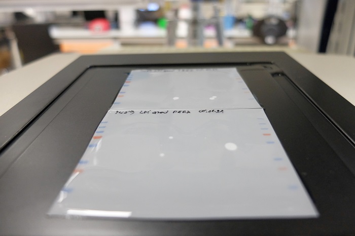 Protein Experiment Protocol - Creative Diagnostics