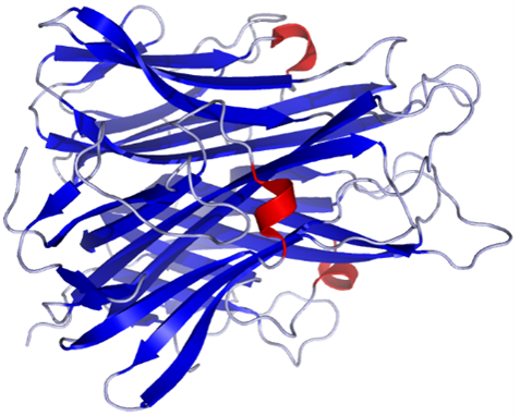 TNF Superfamily - Creative Diagnostics
