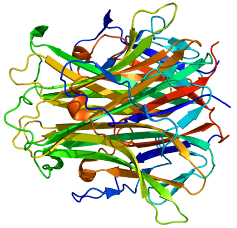 TNF Superfamily - Creative Diagnostics