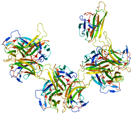 TNF Superfamily - Creative Diagnostics