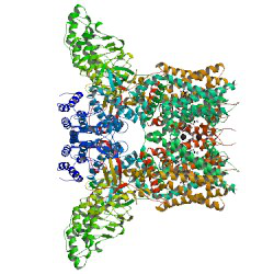 TRPV Immunology Reagents - Creative Diagnostics