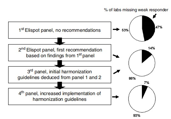 Harmonized Impact on ELISPOT Assay Performance Protocols - Creative Diagnostics