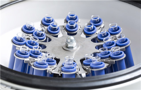 Sample Praparetion Protocol - Creative Diagnostics