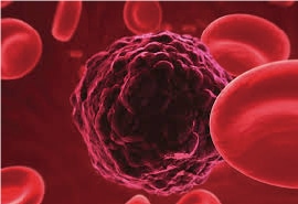 Cancer Biomarkers Antigen - Creative Diagnostics