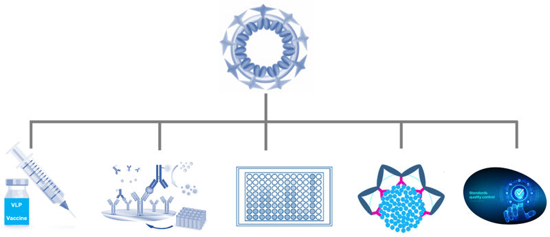 Virus-like Particle (VLP) Antigen Production Service - Creative Diagnostics