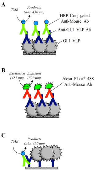Virus-like Particle (VLP) Antigen Production Service - Creative Diagnostics
